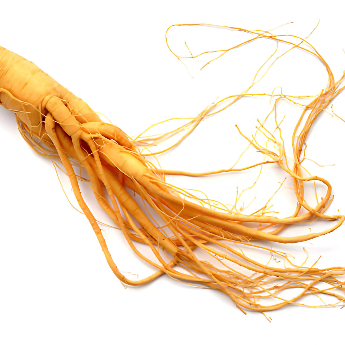 The Science Behind Ginseng: Unveiling its Potential Health Benefits ...